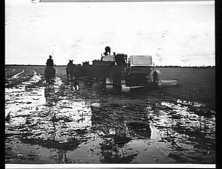 Photograph - H.V. McKay Massey Harris, Farm Equipment Manufacture ...