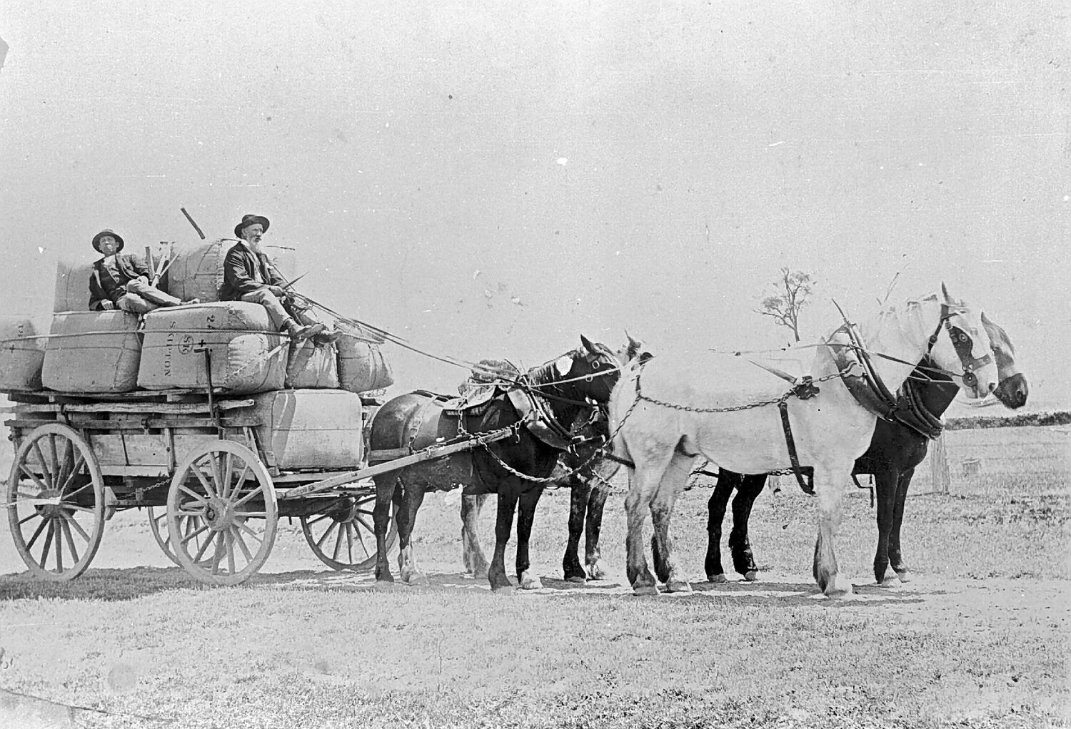 Negative - Victoria, pre 1900