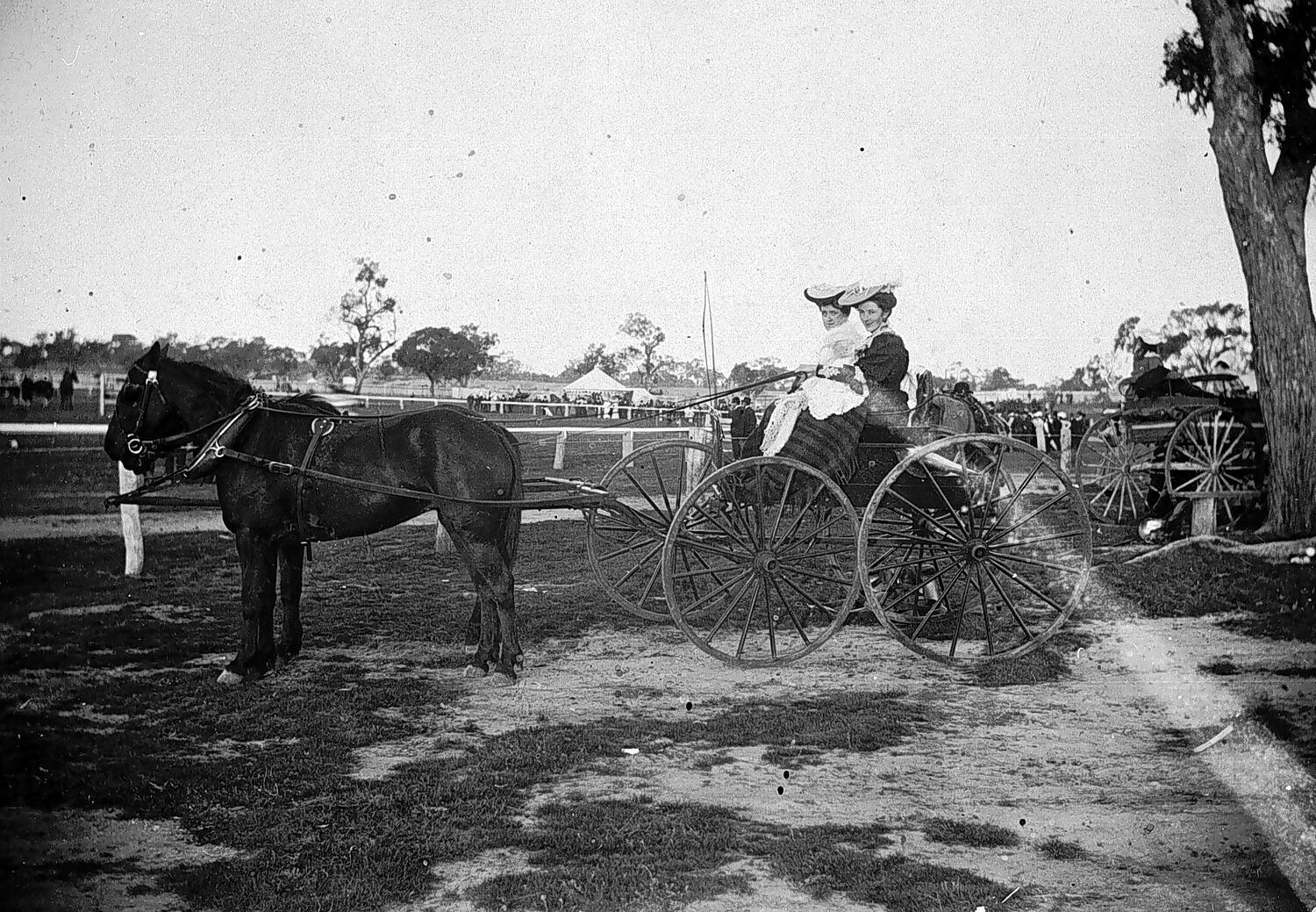 Negative - Agricultural Show, Donald, Victoria, 1905