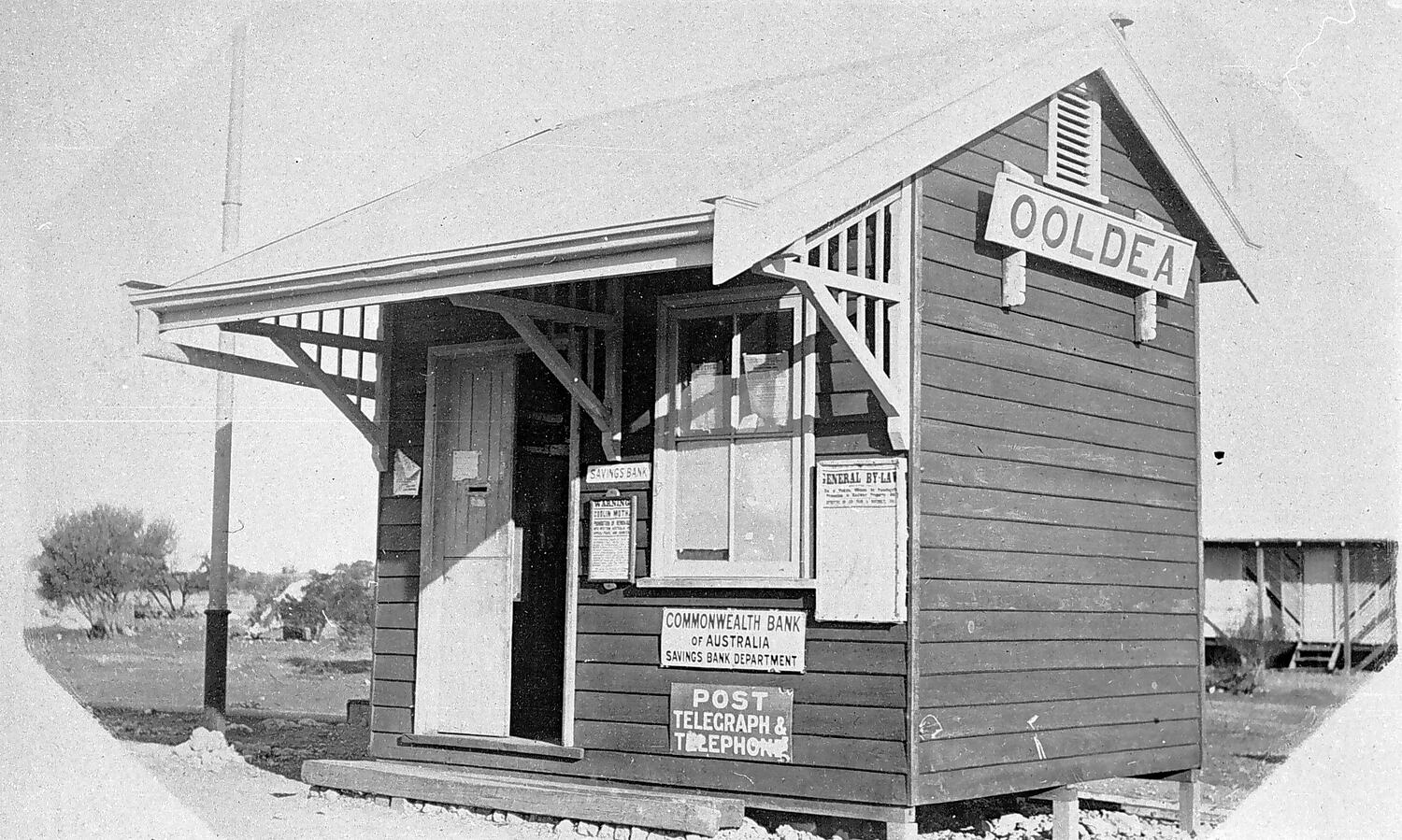 Negative - Ooldea, South Australia, 1919