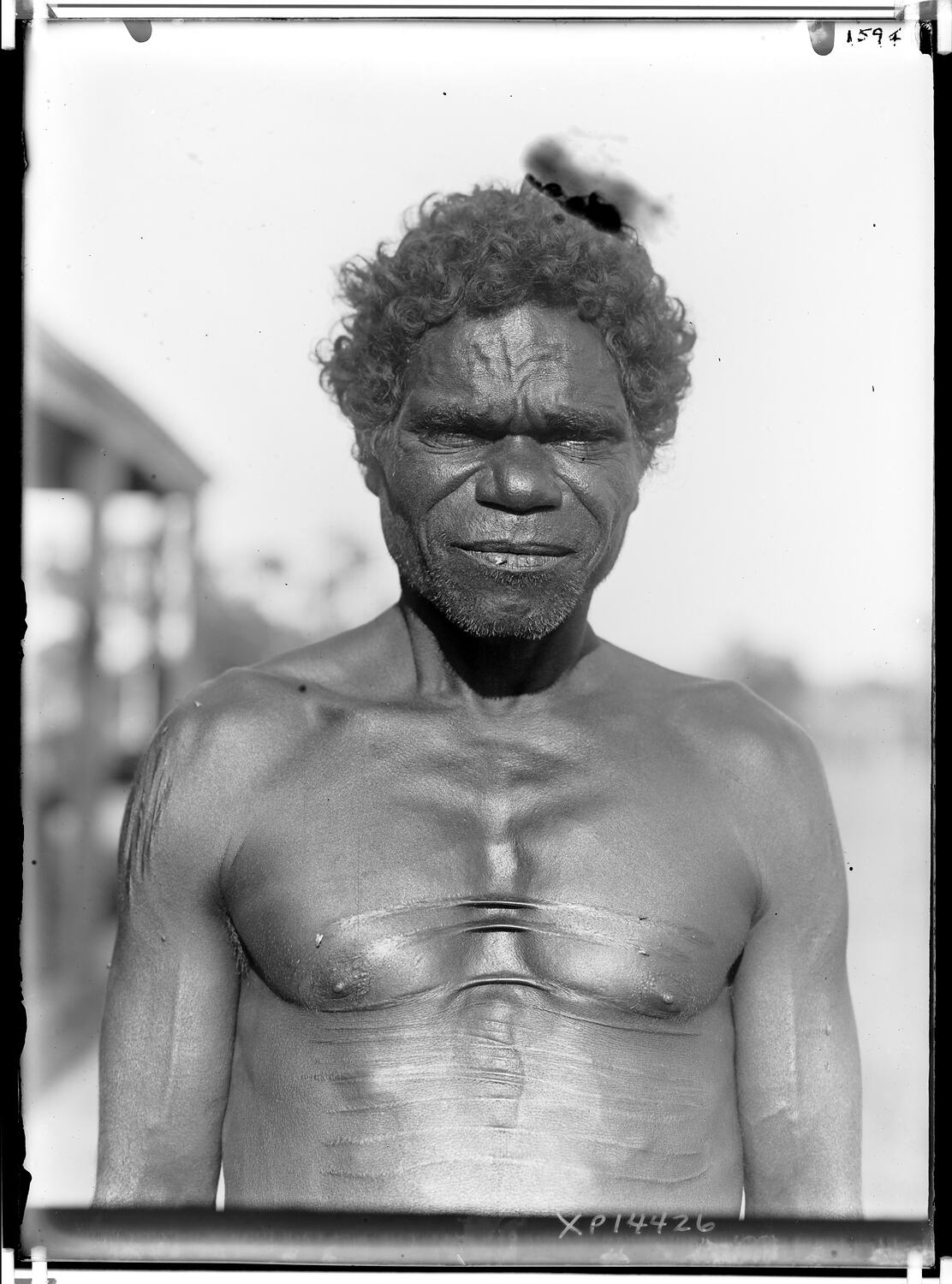 Glass plate. Yanyuwa. Borroloola, Gulf, Northern Territory, Australia ...