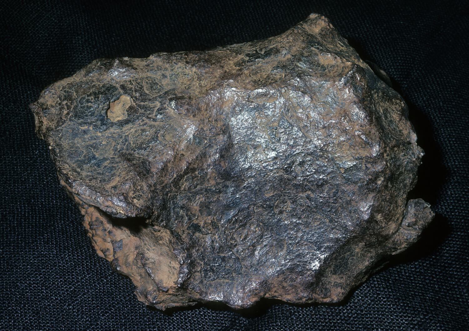 Cranbourne No. 12 meteorite