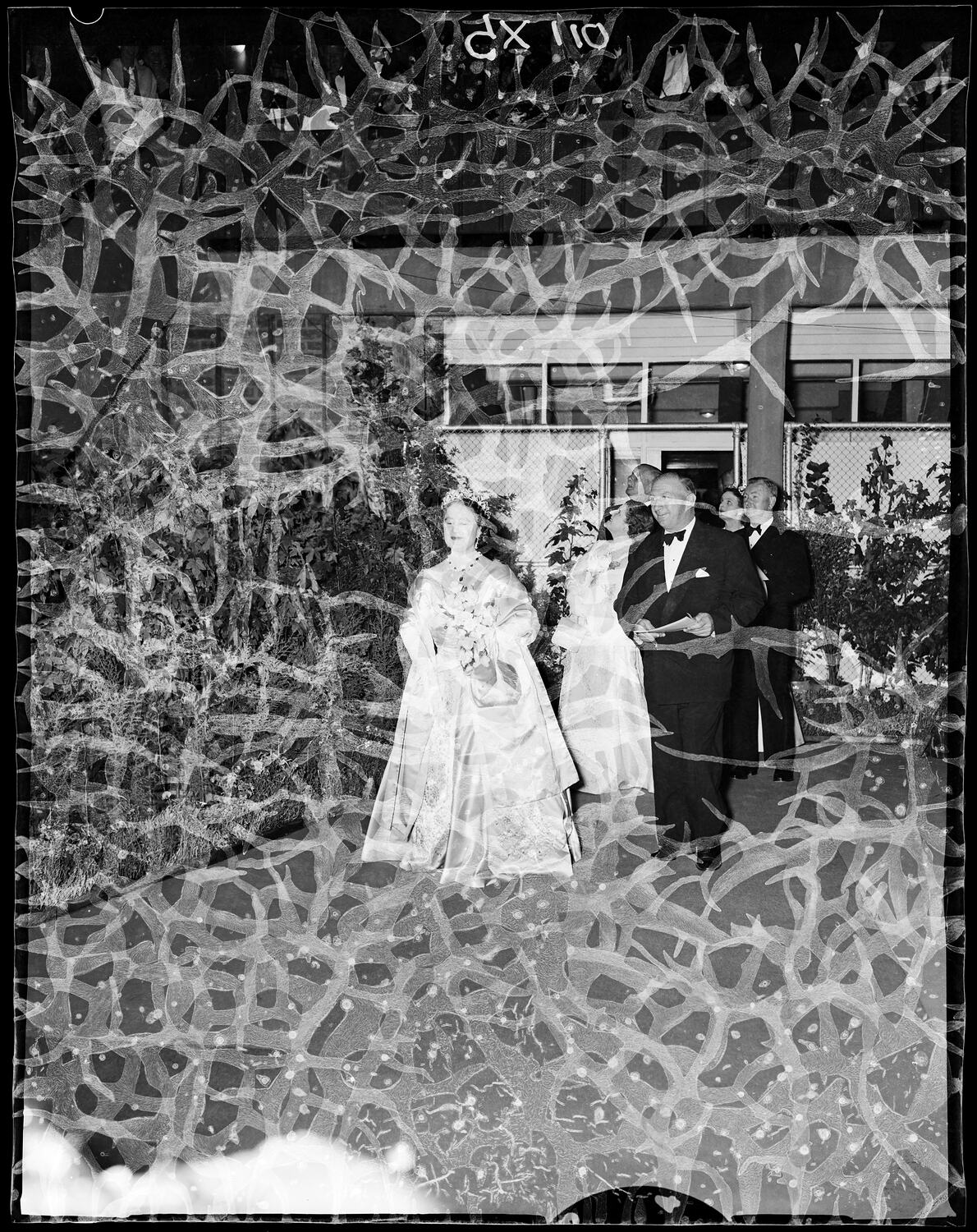 Negative - The Queen Mother & Guest at the Olympic Pool, Melbourne, 01 ...