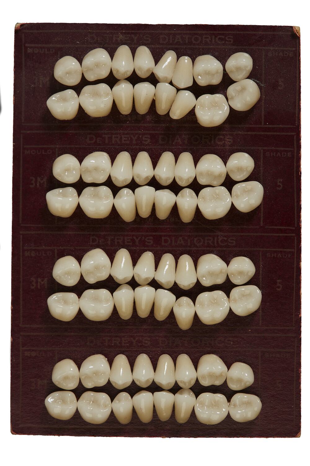 Artificial Teeth - Porcelain Cuspid & Molar, DeTrey's Diatorics, circa 1925