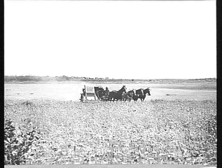 Photograph - H.V. McKay Pty Ltd, Farm Equipment Manufacture & Field ...