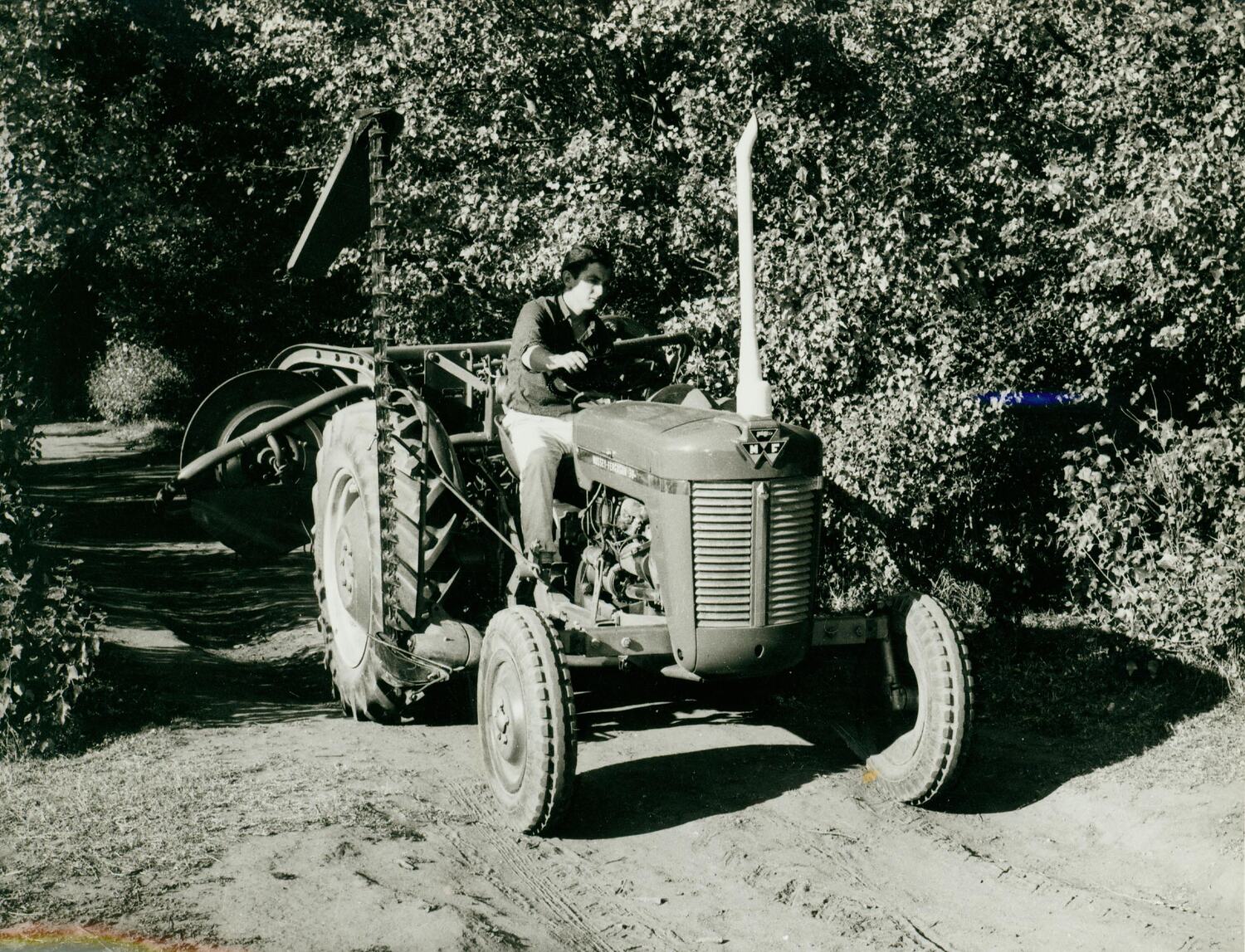 Photograph - Massey Ferguson, Man with MF30 Tractor with Mid Mounted ...