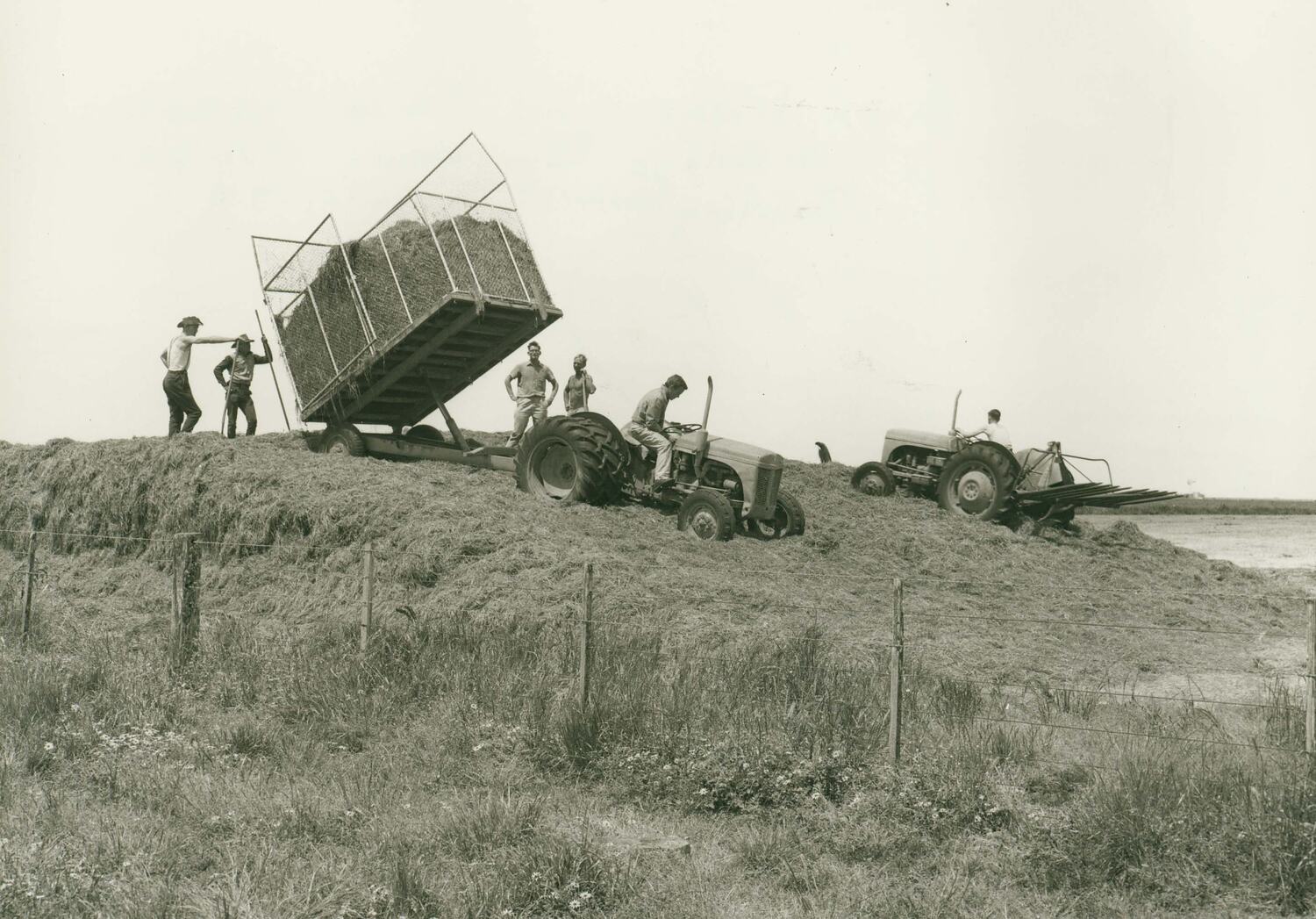 Photograph - Massey Ferguson, Buck Rake, circa 1958