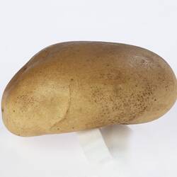 Potato Model - Sequoia, circa 1946