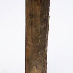 Timber Sample - Atalaya varifolia (Sapindaceae), Queensland, 1880-1900