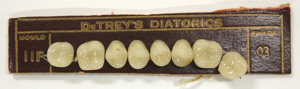 Artificial Teeth - Porcelain Cuspid & Molar, DeTrey's Diatorics, circa 1925
