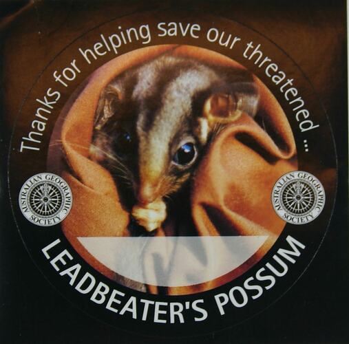 Sticker - Leadbeater's Possum, Australian National Georagraphic, circa ...