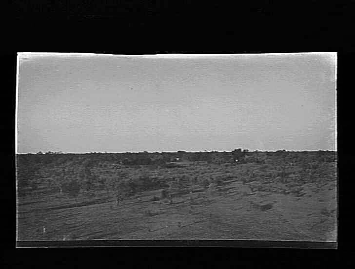 Negative - Landscape, by Hugh Conran, Effley, Queensland, 1915
