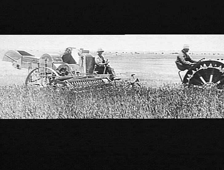 Photograph - H.V. McKay Pty Ltd, Farm Equipment Manufacture & Field ...