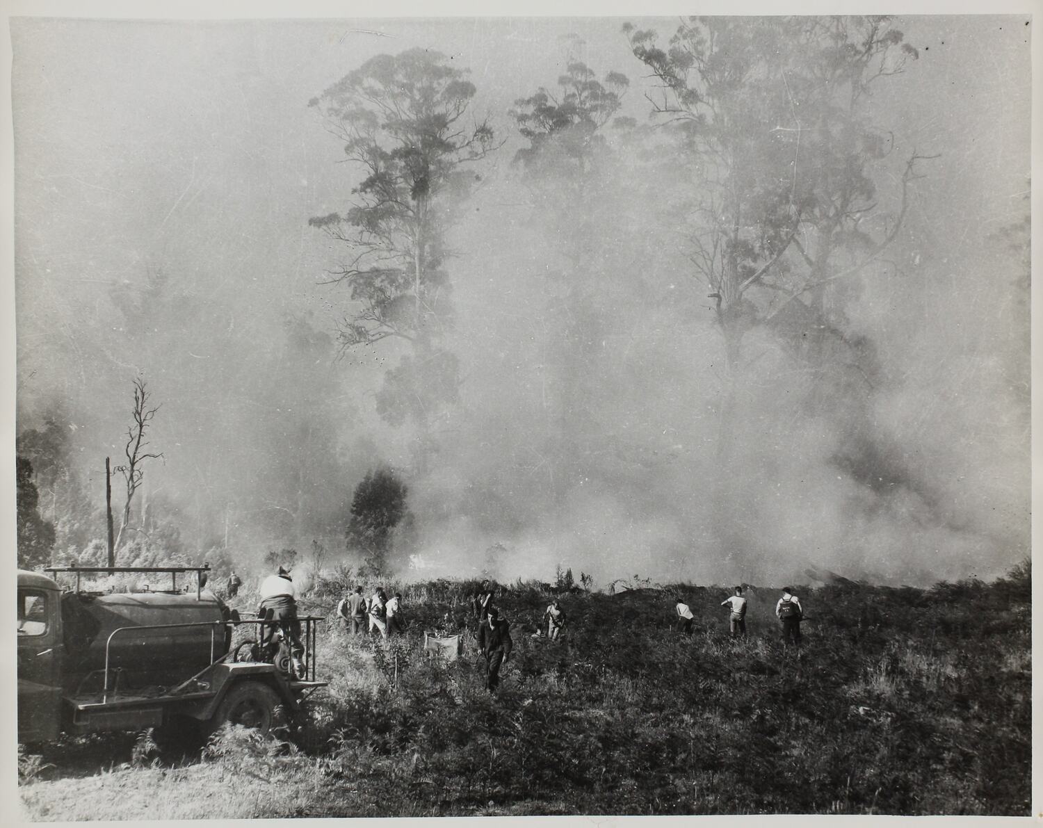 Photograph - State Electricity Commission, Fire Fighters Attending ...