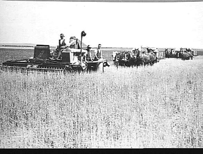 Photograph - H.V. McKay Pty Ltd, Farm Equipment Manufacture & Field ...