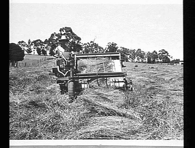 Photograph - H.V. McKay Massey Harris, Farm Equipment Manufacture ...