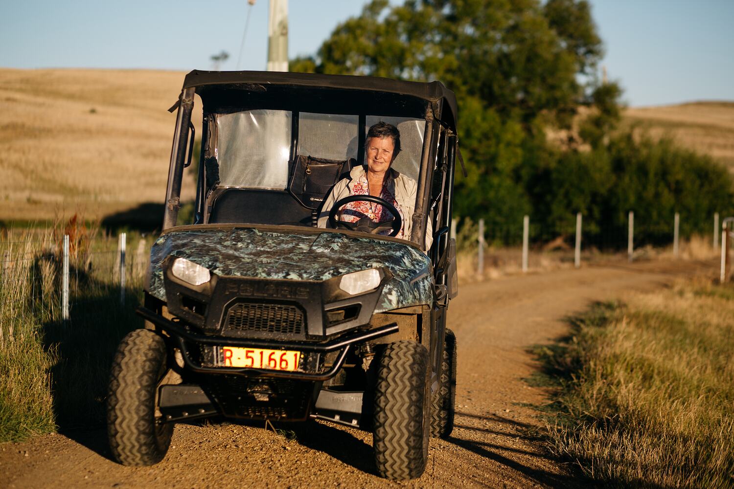 Digital Photograph - Shepherd Nan Bray Driving Farm Vehicle, White Gum ...