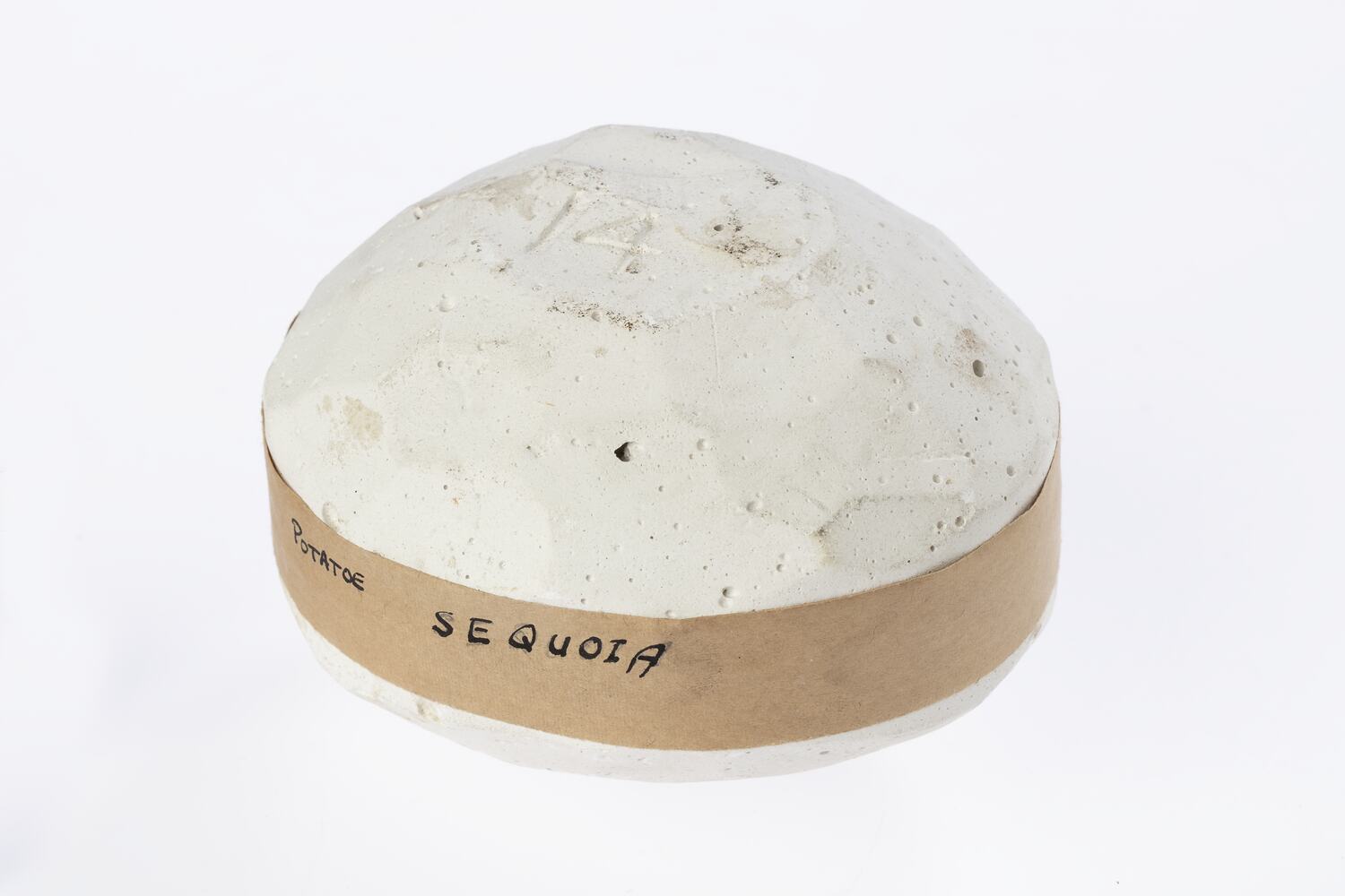 Mould - Potato Model, Sequoia, circa 1946