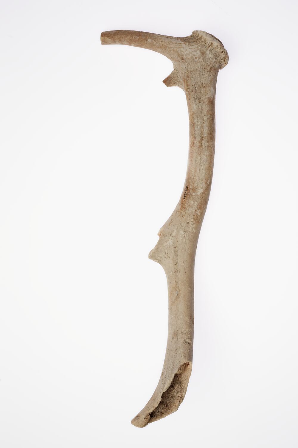 Pick. Grime's Graves, Norfolk, England, United Kingdom. Late Neolithic ...