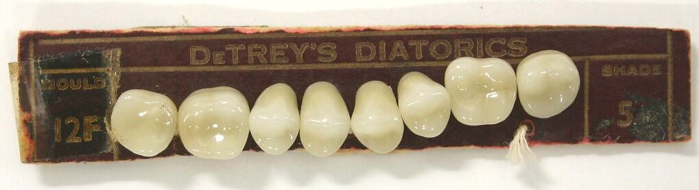 Artificial Teeth - Porcelain Cuspid & Molar, DeTrey's Diatorics, circa 1925