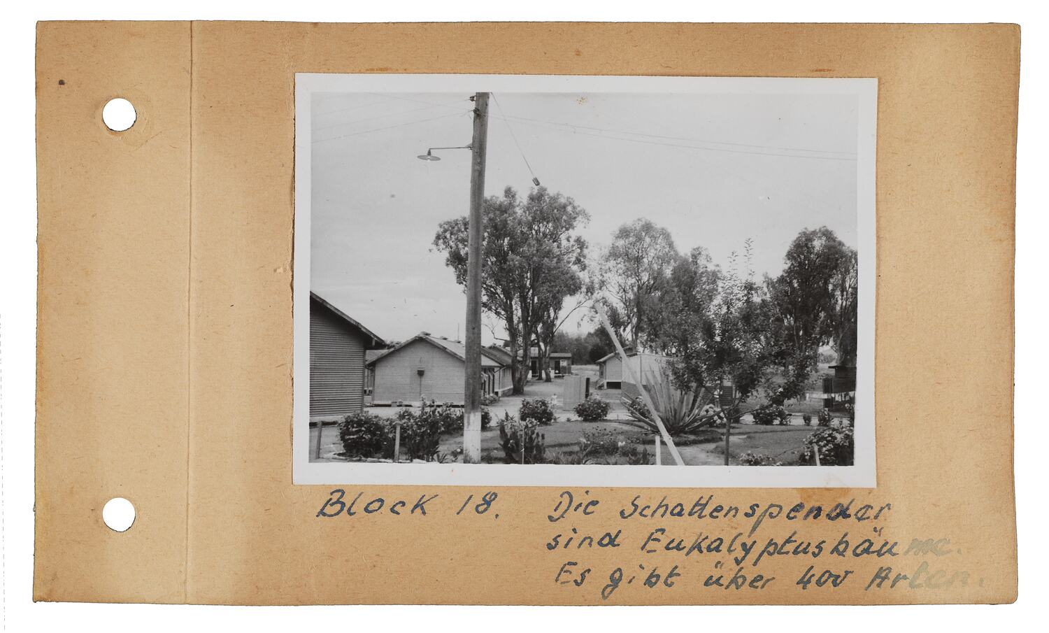 Photograph - Album Page 35, Block 18 At Bonegilla Migrant Reception ...