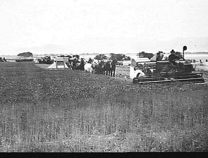 Photograph - H.V. McKay Pty Ltd, Farm Equipment Manufacture & Field ...