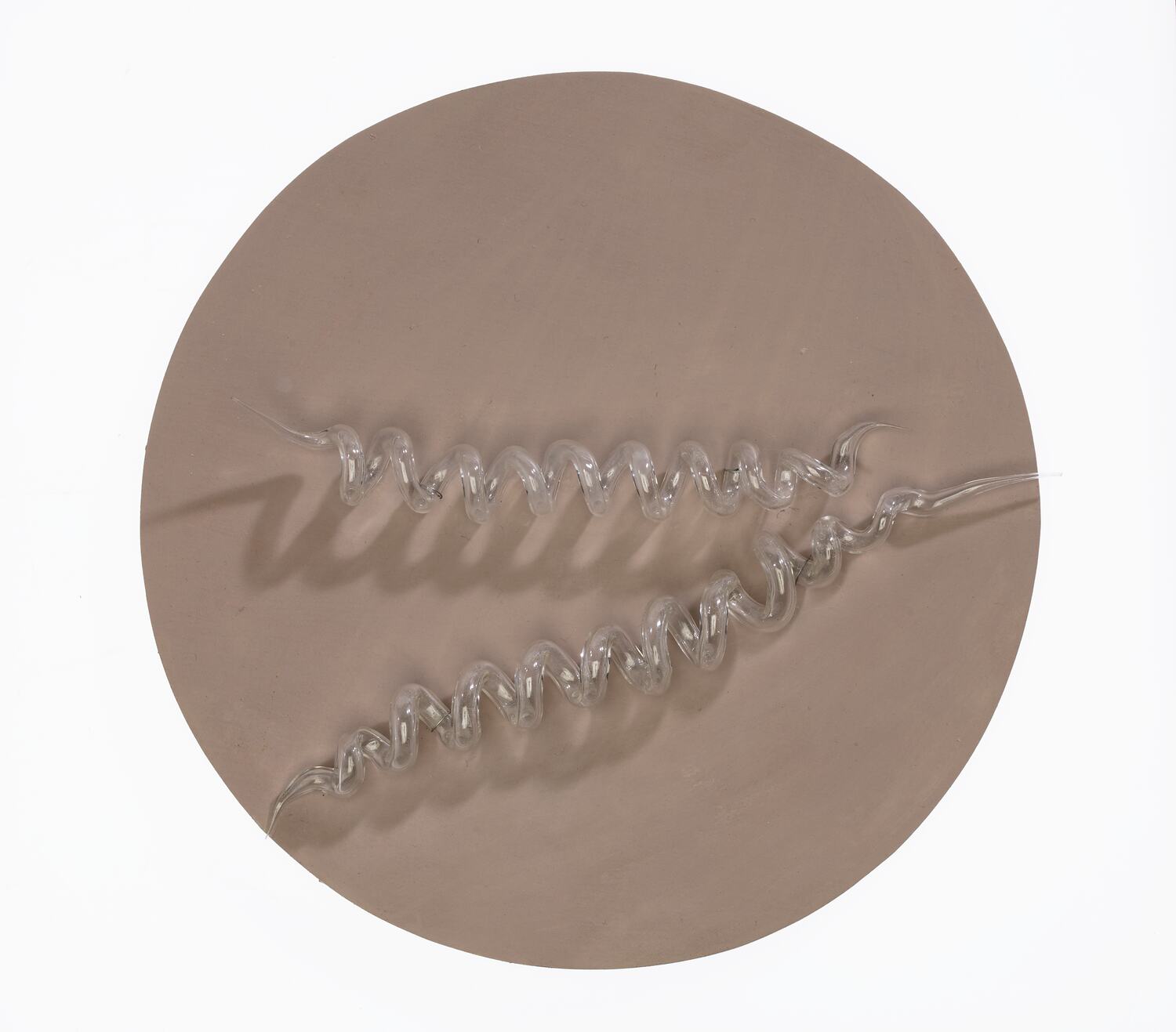 Model - Syphilis, Treponema Pallida (Spirochaetes), Glass, Diameter 10 ...