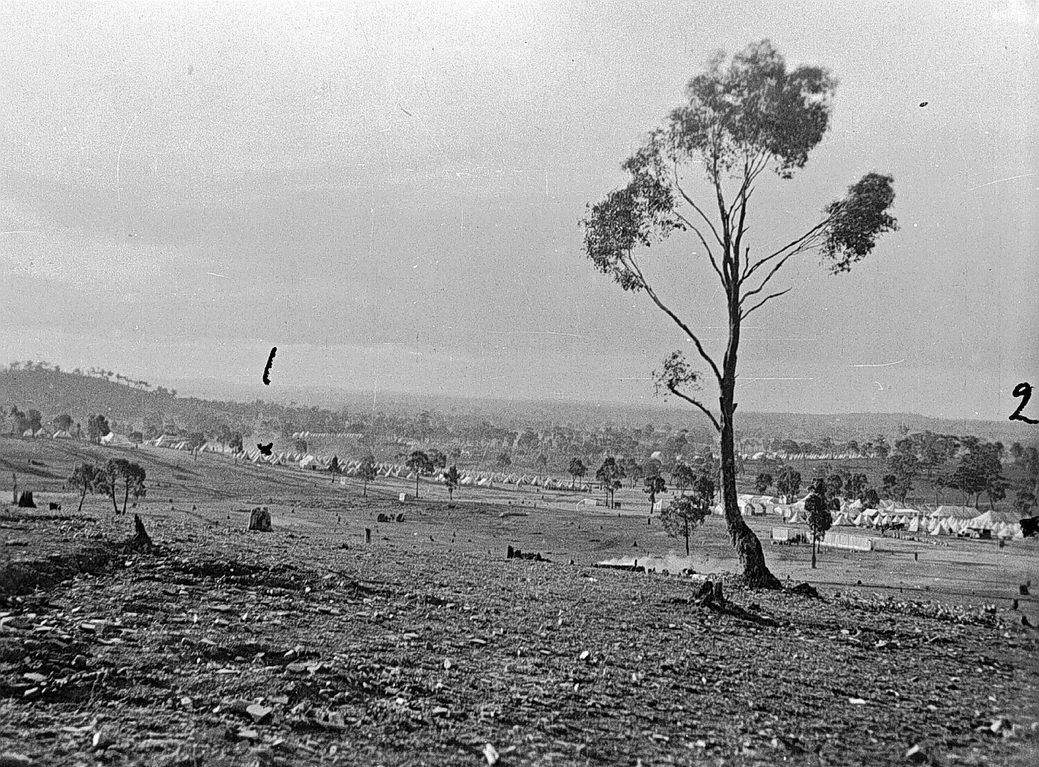 Negative - Wartime Training Camp, Victoria, 1915