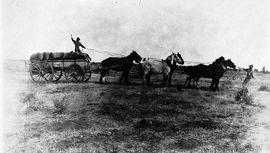 Negative - Mittyack District, Victoria, circa 1928