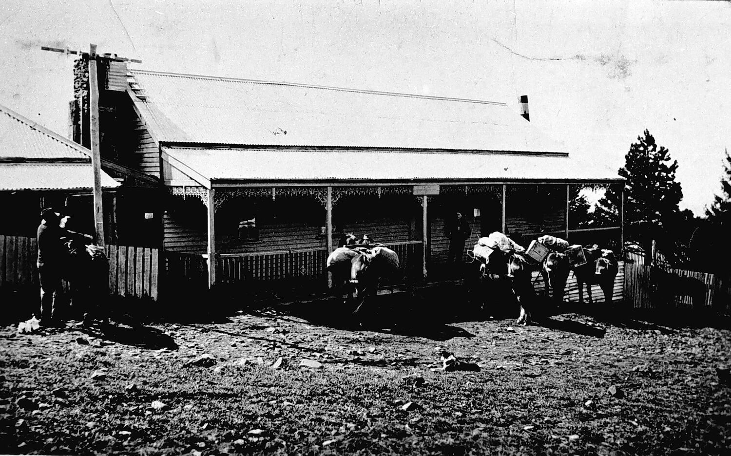 Negative - Aberfeldy, Victoria, circa 1930