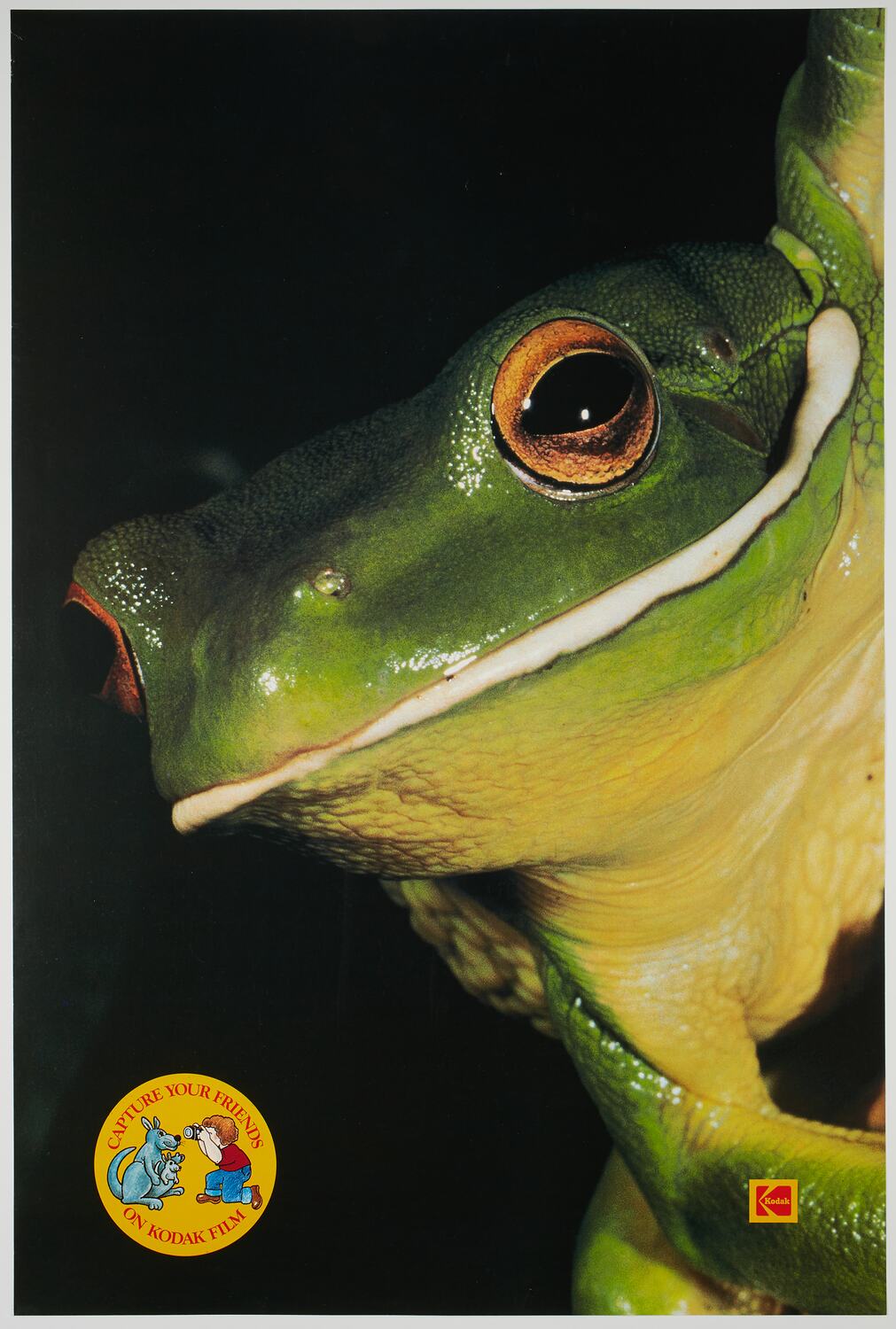 Poster - Kodak Australasia Pty Ltd, Frog, 'Capture Your Friends on ...