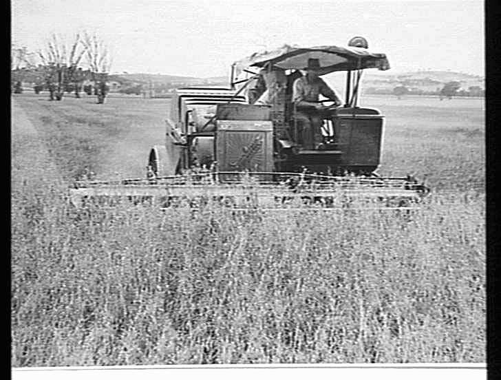 Photograph - H.V. McKay Massey Harris, Farm Equipment Manufacture ...