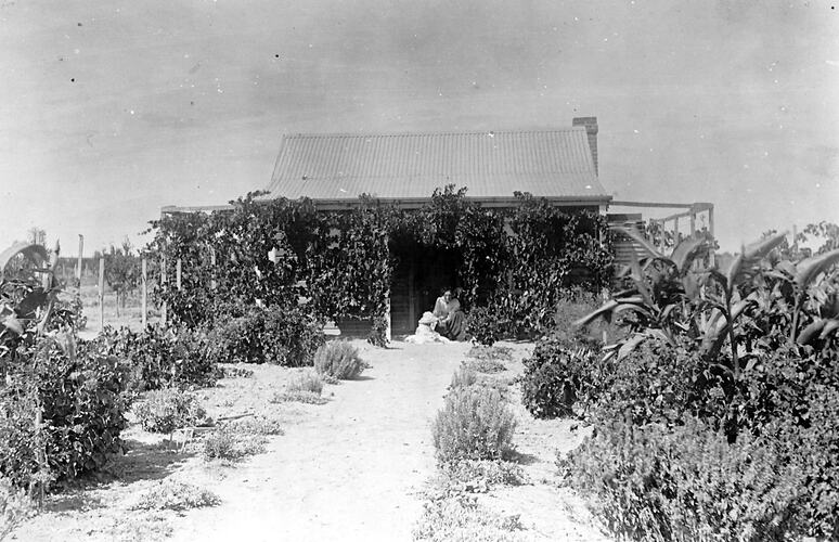 Negative - Merbein, Victoria, circa 1892