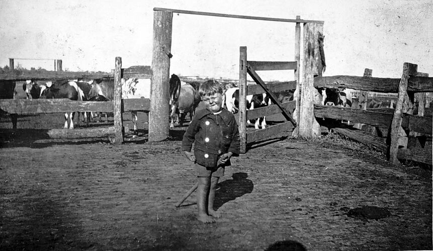 Negative - Newry District, Victoria, circa 1925