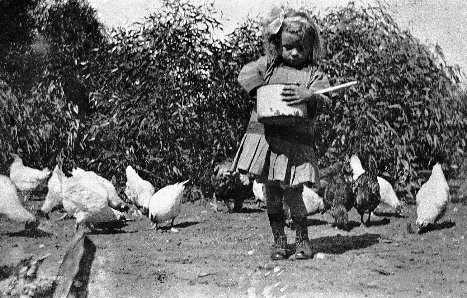 Negative - Mittyack, Victoria, circa 1918