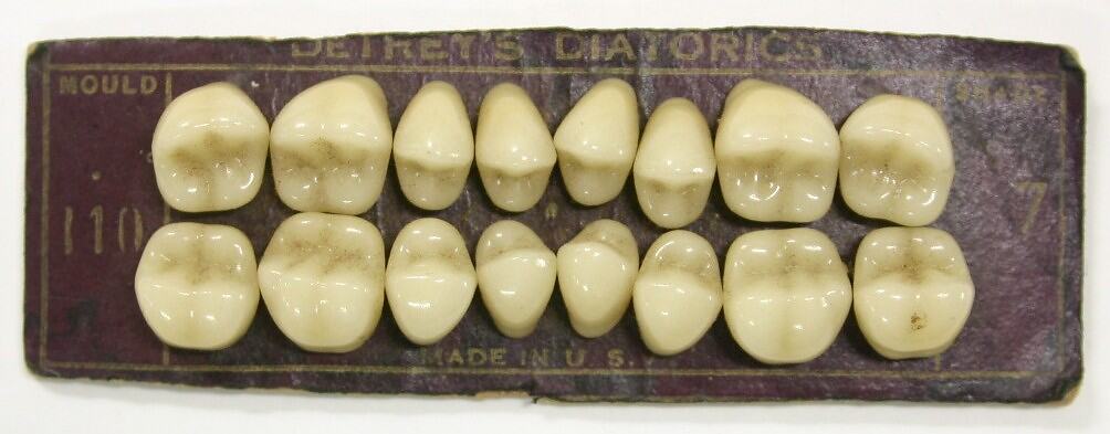 Artificial Teeth - Porcelain Cuspid & Molar, DeTrey's Diatorics, circa 1925