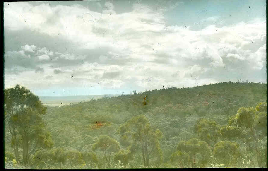 Lantern Slide - Toolern Vale, Victoria, 1935