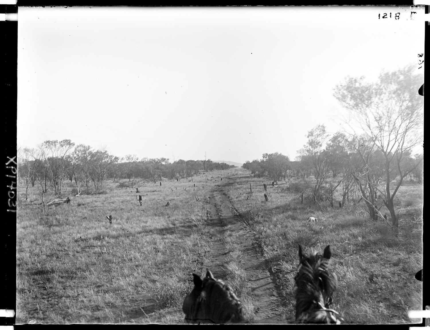 Glass plate. Central Mount Stuart, Central Australia, Northern ...