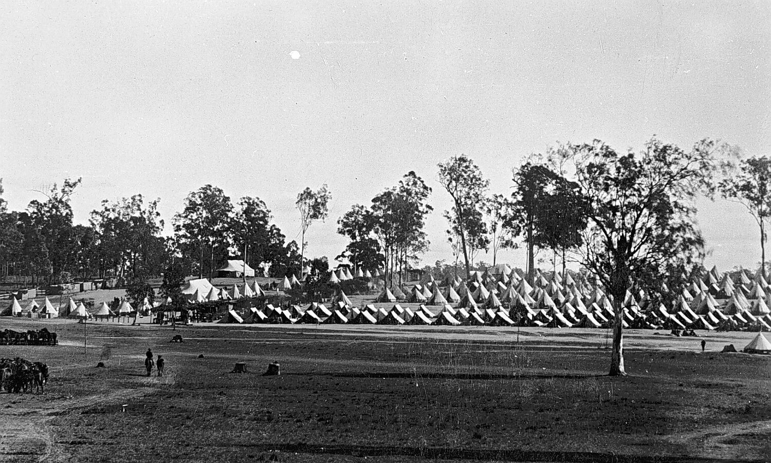 Negative - Army Tents, Queensland, circa 1915