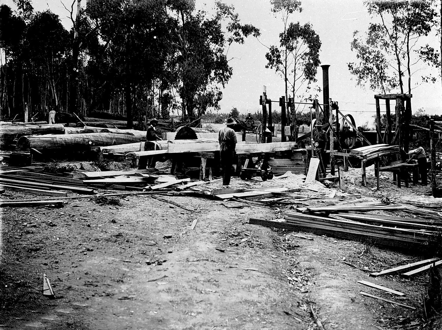 Negative - Hurstbridge, Victoria, circa 1910