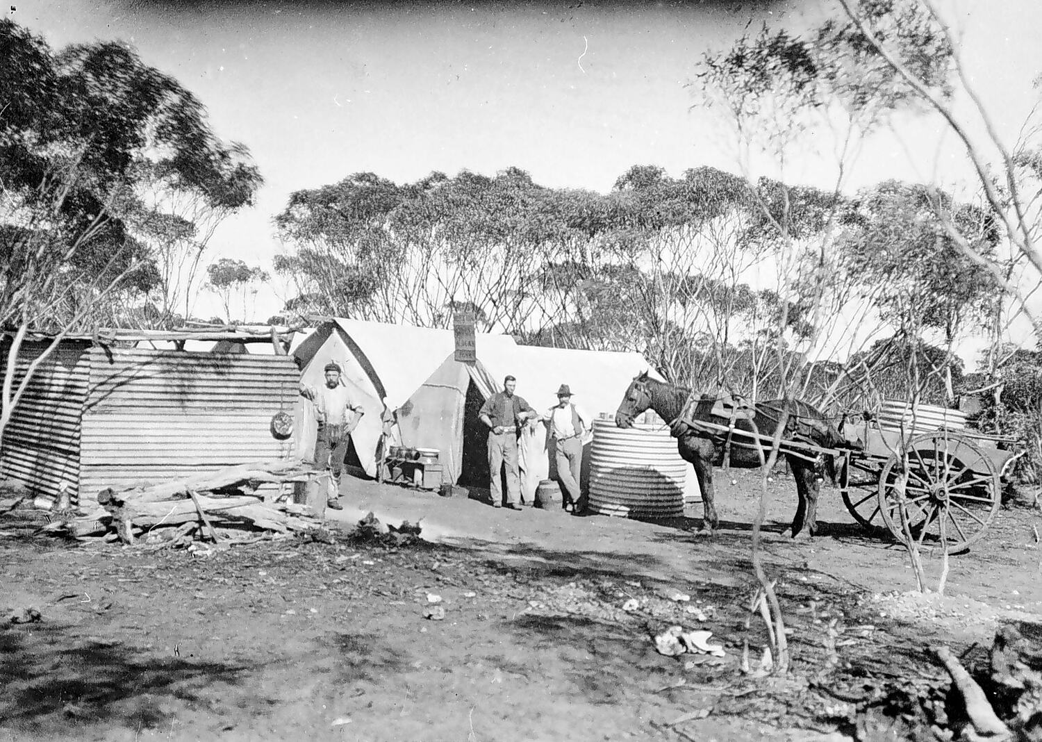 Negative - Underbool, Victoria, 1910