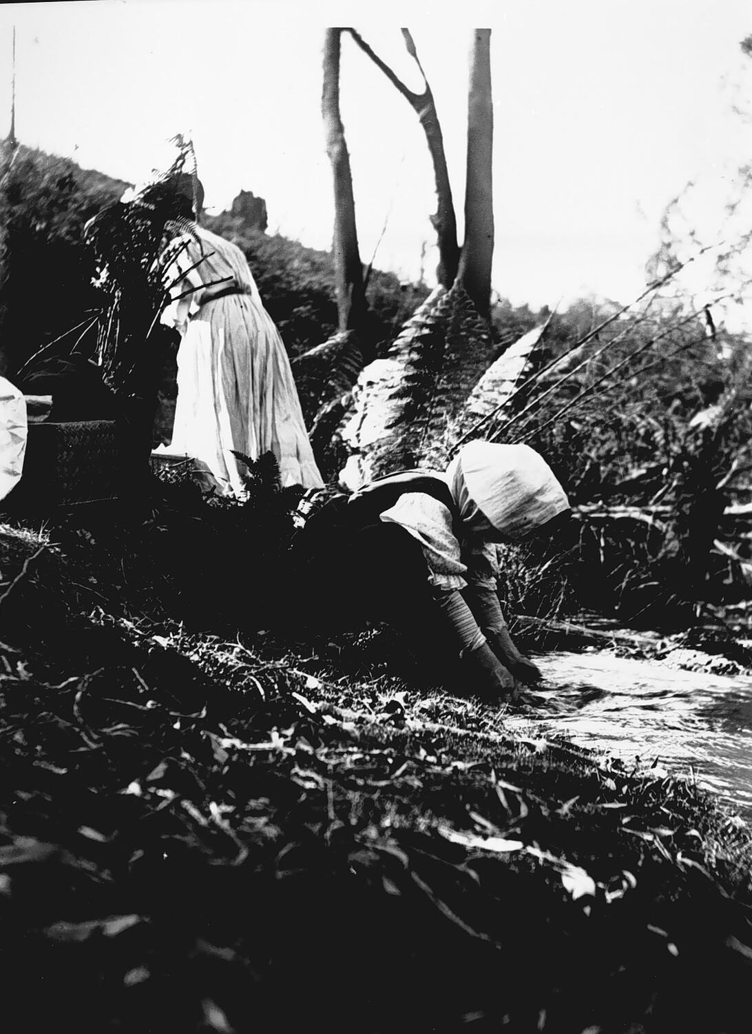 Negative - Ferntree Gully, Victoria, 1908