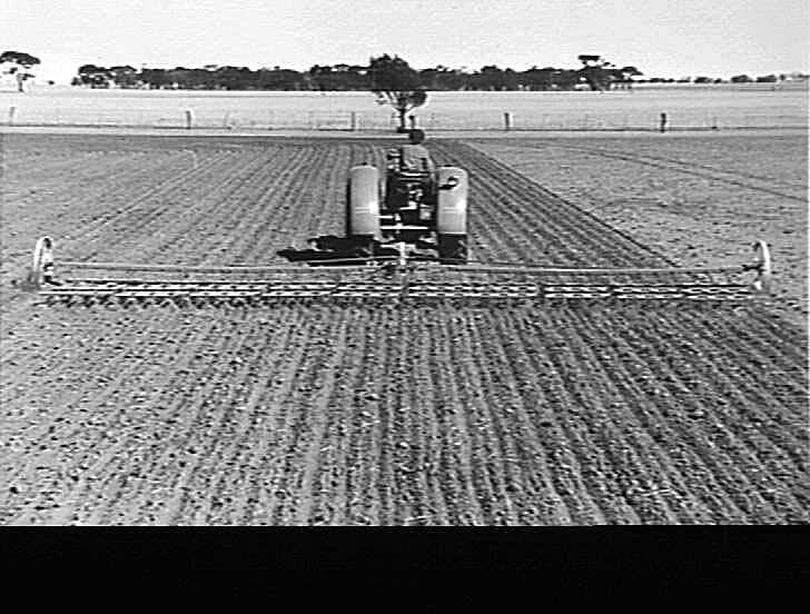 Photograph - H.V. McKay Massey Harris, Tractor-drawn Sunjump Harrow at ...