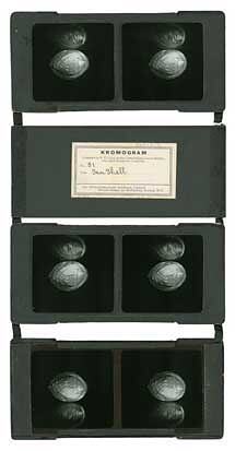 Set of Glass Slides - Kromskop Viewer Set, Kromogram, Sea Shell, About 1895