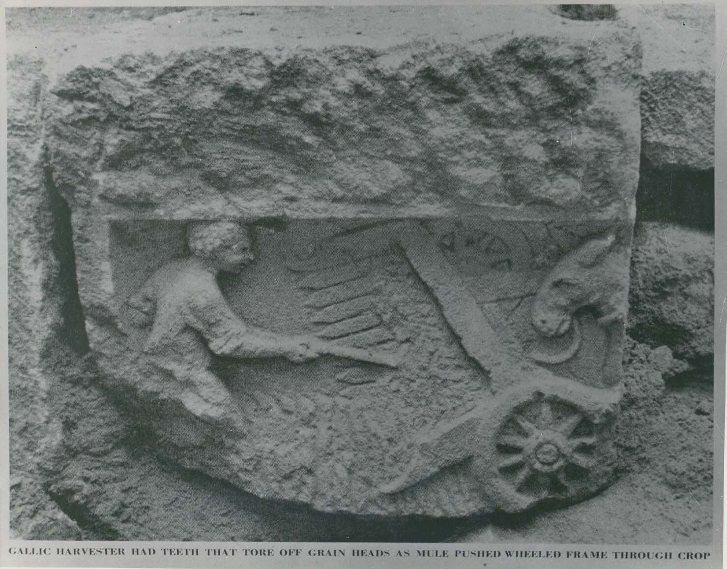 Photograph - Relief of Ancient 'Gallic Vallus' Harvester, circa 77 AD