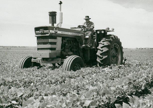 Photograph - Massey Ferguson, MF1100 Tractor & Cultivator, circa 1968
