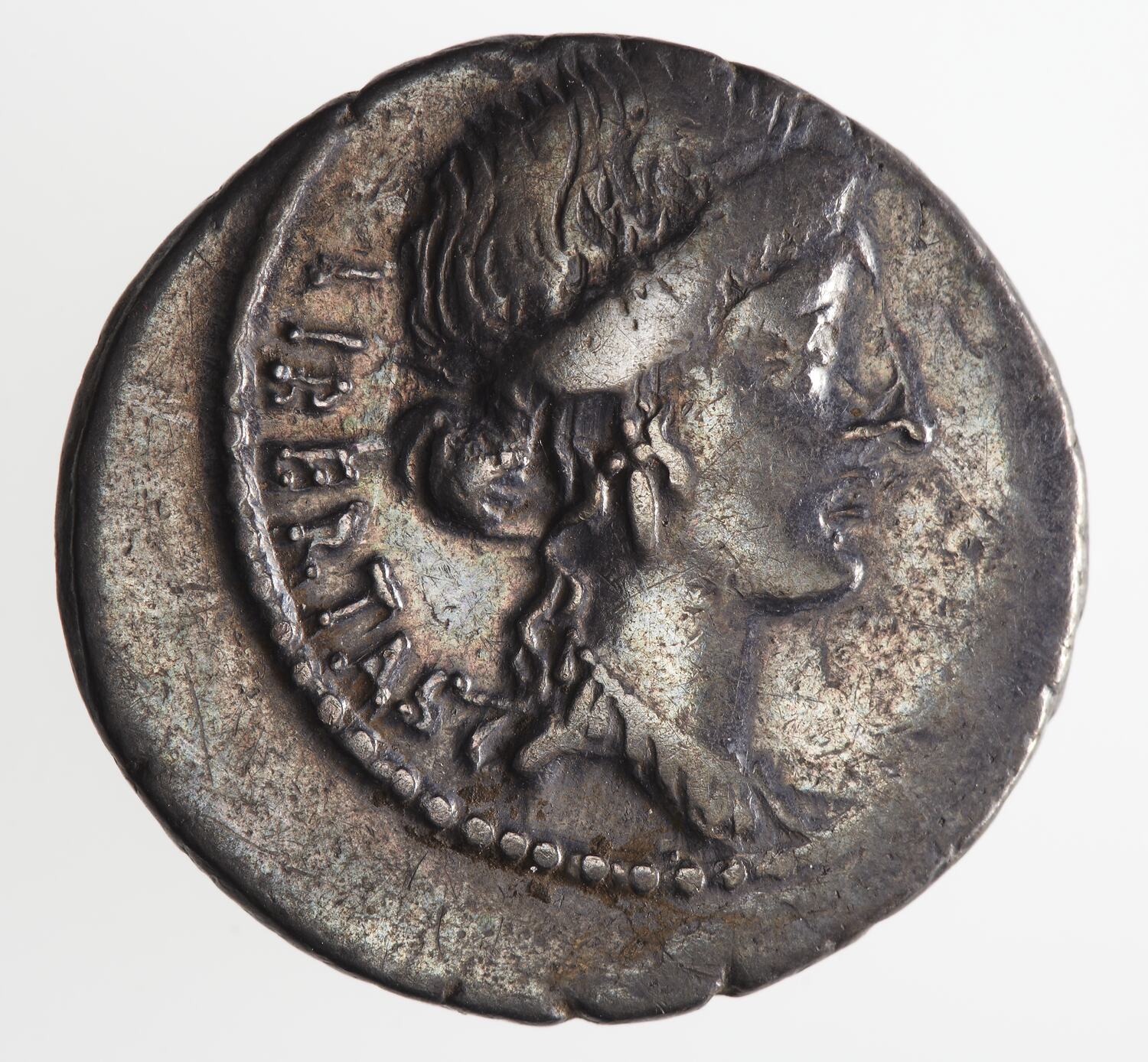 Coin - Denarius, BRVTVS, Ancient Roman Republic, 54 BC