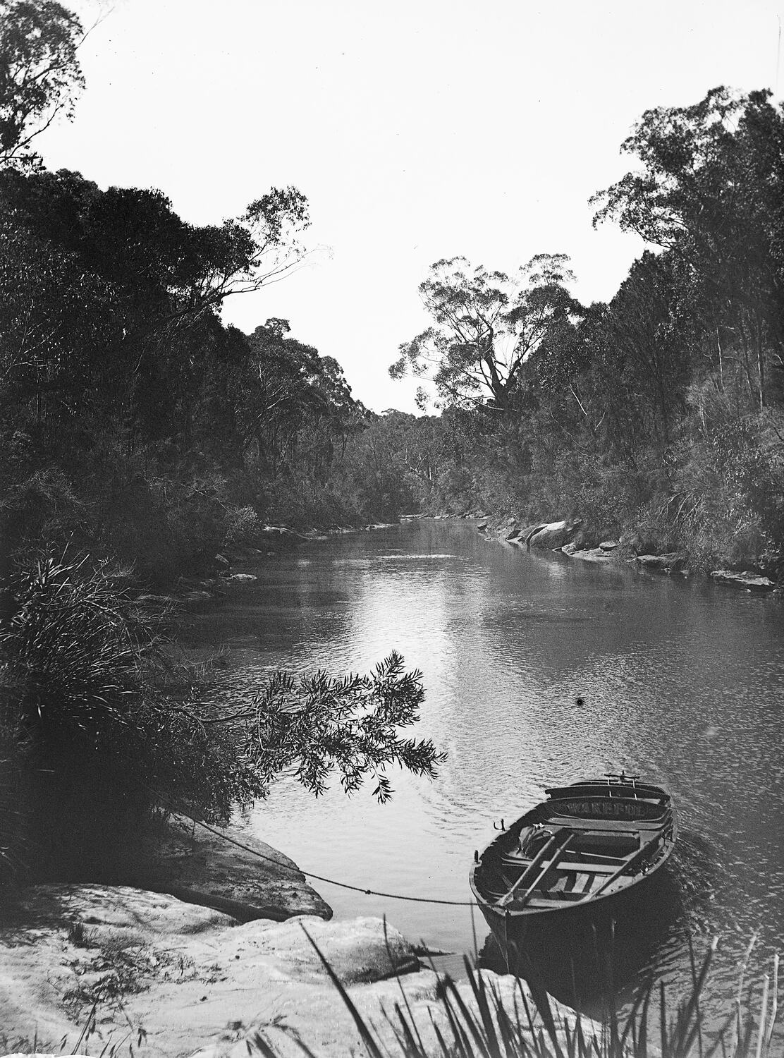 Glass Negative - Row Boat Moored in River, circa 1900s