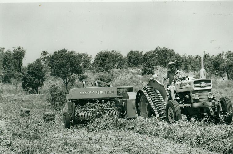 Photograph - Massey Ferguson, MF503 Baler and Half Track tractor, circa ...
