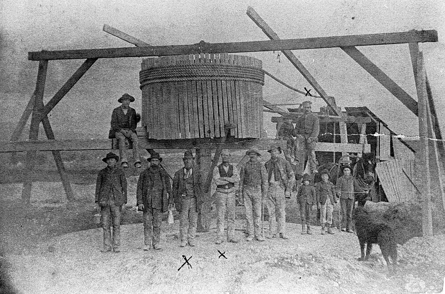 Negative - Clarke's Stamp Battery, Ballarat, Victoria, circa 1880